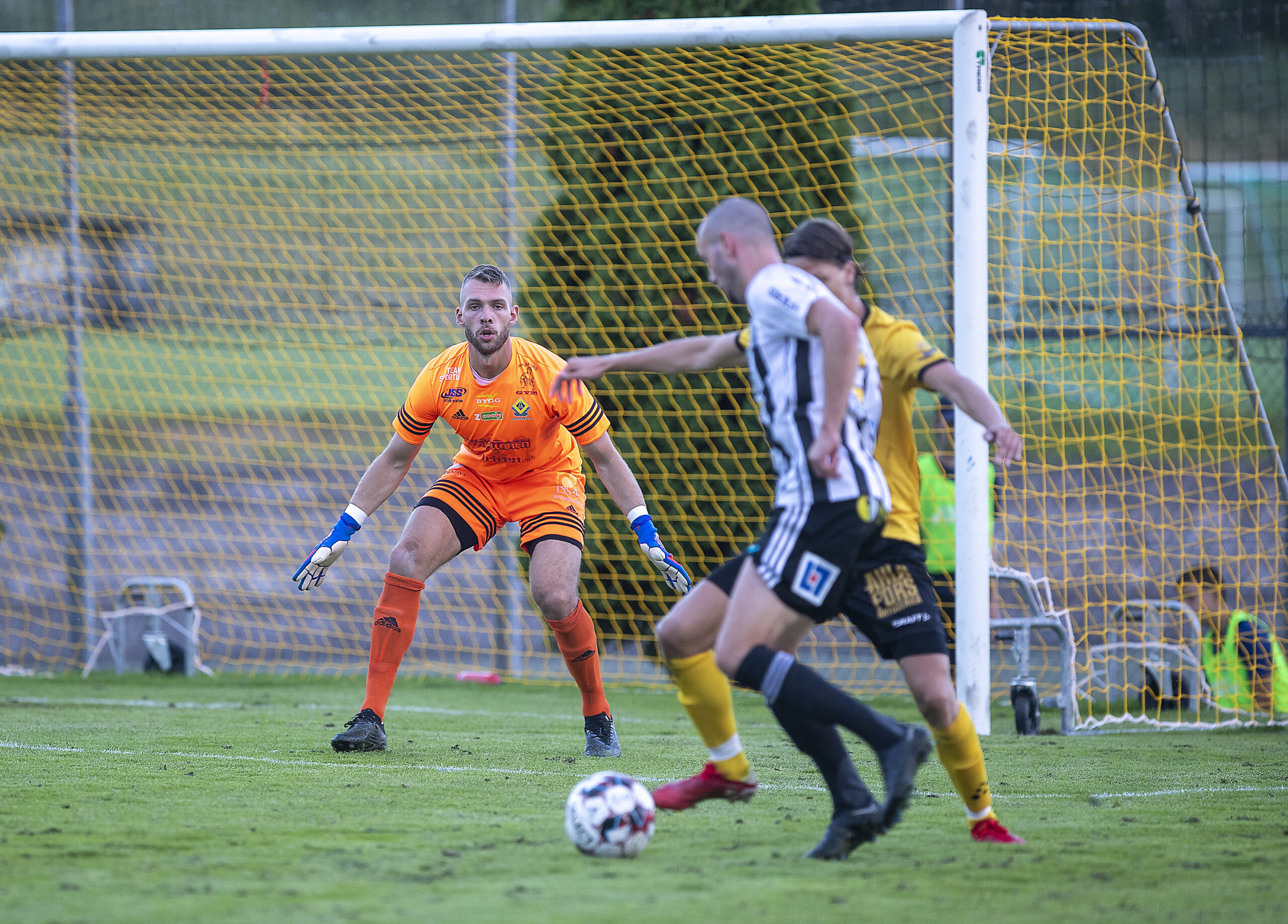 Planenlig seger över Herrestad - Alekuriren - Alekuriren